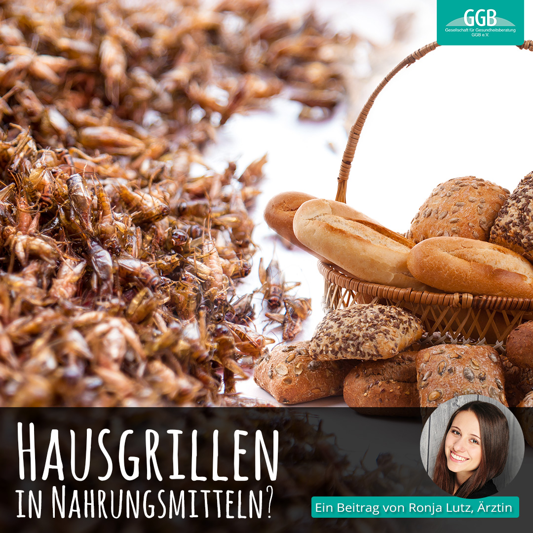 Hausgrillen in Nahrungsmitteln? - Gesellschaft für Gesundheitsberatung ...